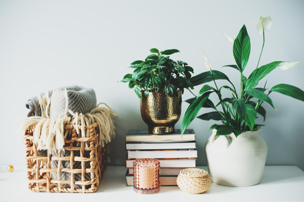 Casa ta decorată în stil eco-chic – natură și stil - AdiSpune